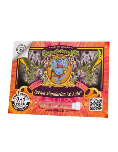 Cream Mandarine XL Auto® - Sweet Seeds®