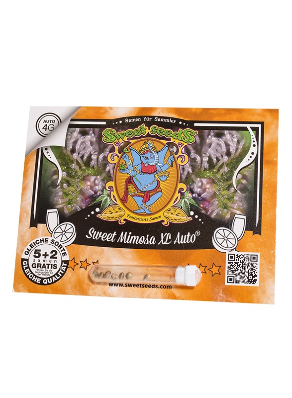 Sweet Mimosa XL Auto®